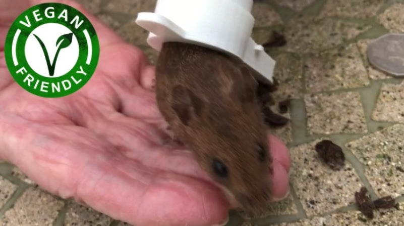 Mouse Catch Alive Traps, designed tested and made in the Bowland Fores ...